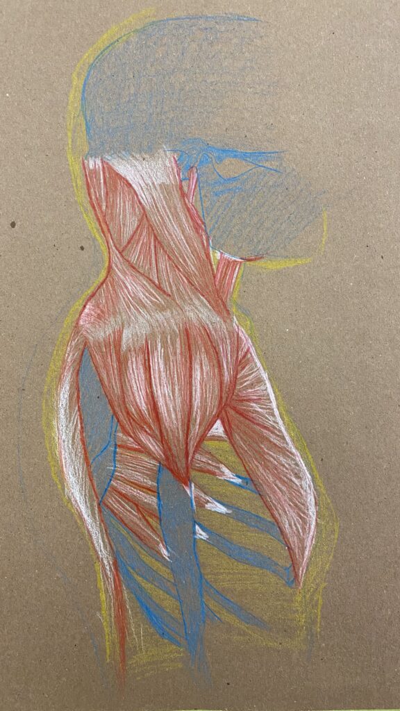 Unit 7 Limit (Drawing) – ART 211 blog