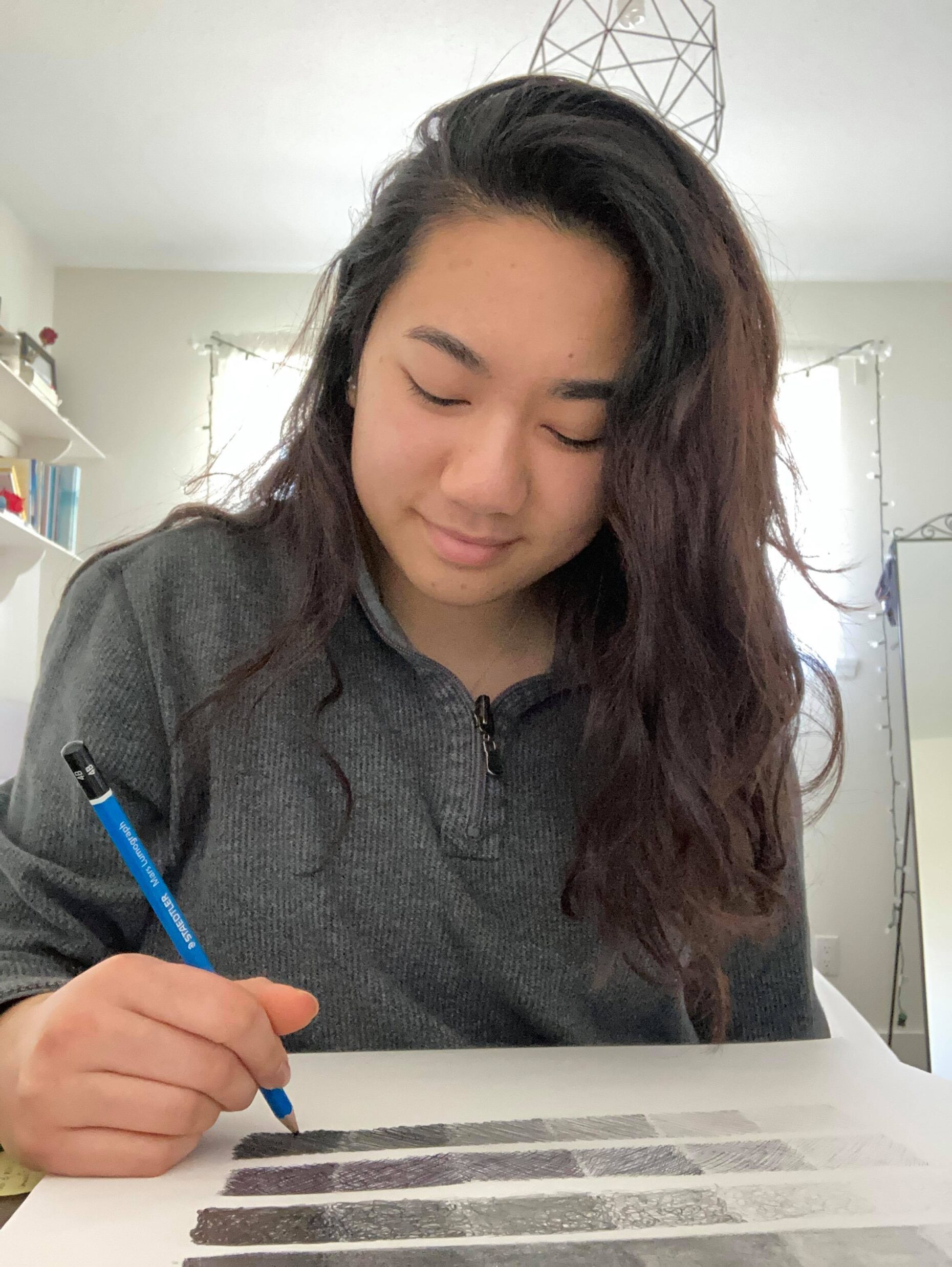 Value with Graphite (and ink) – Cecilia's Studio Art Portfolio