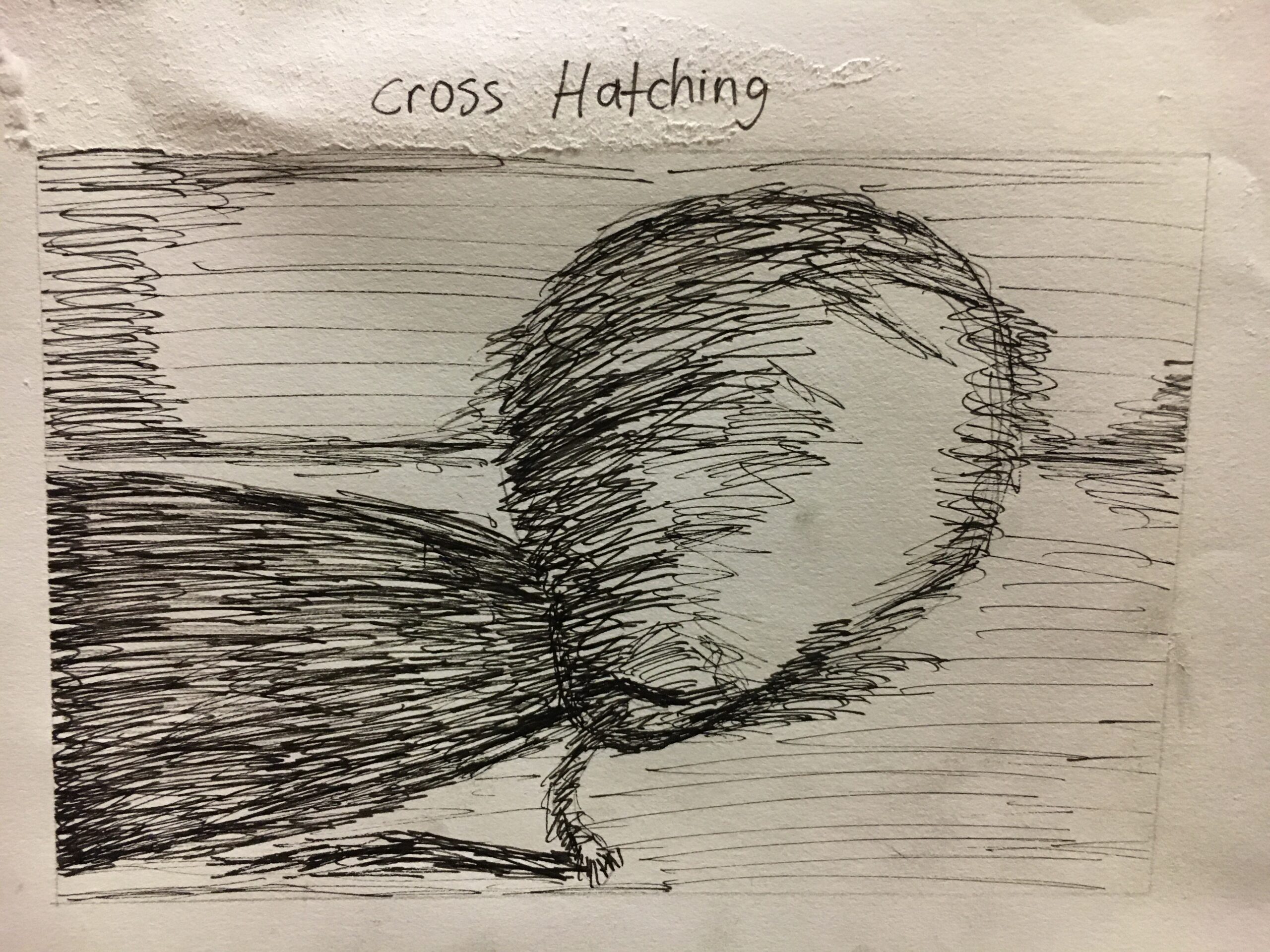 Visual Inquiry 6: Four Value Studies – Ceyda and ART181