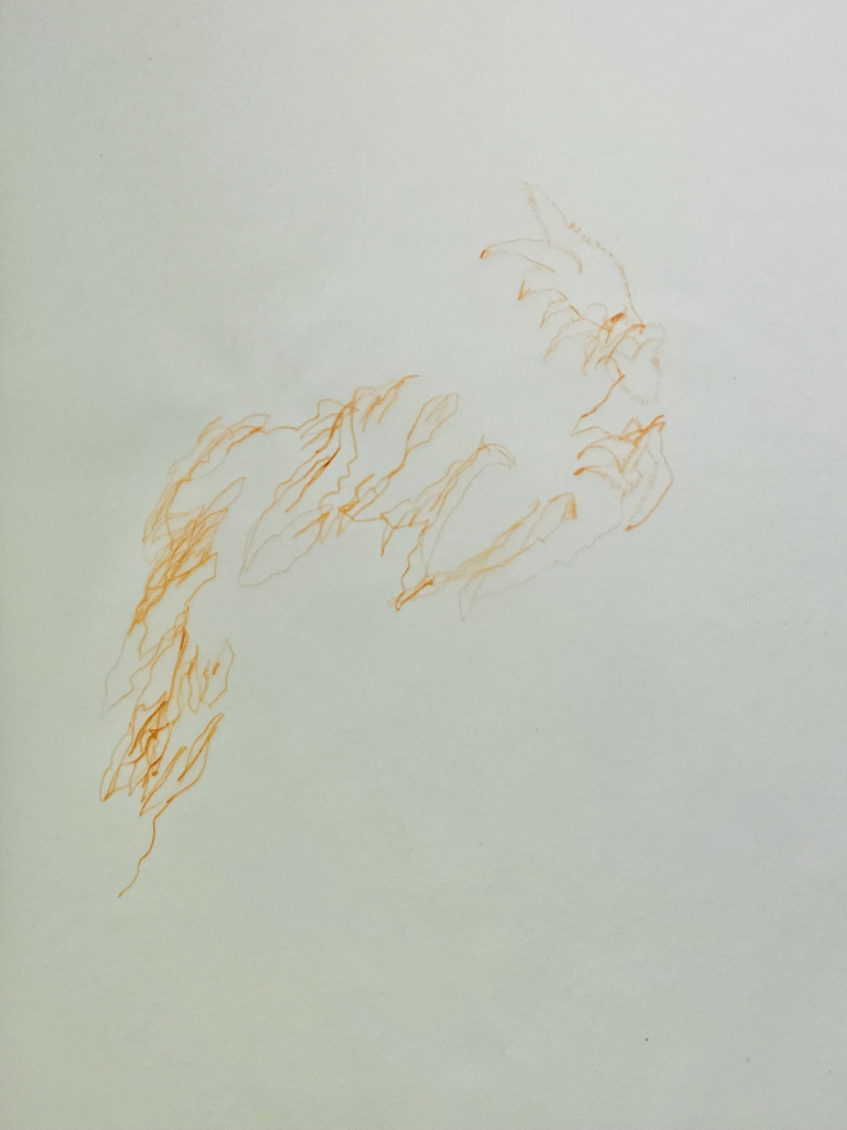 Devil’s in the Details – Emma’s Art Place