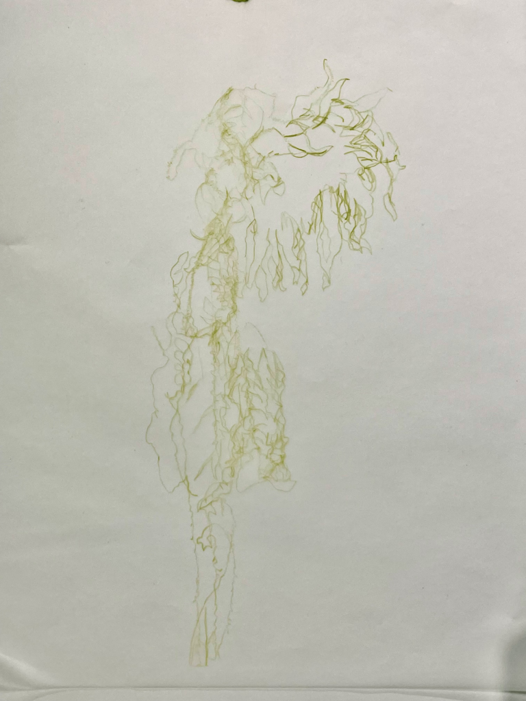 Devil’s in the Details – Emma’s Art Place