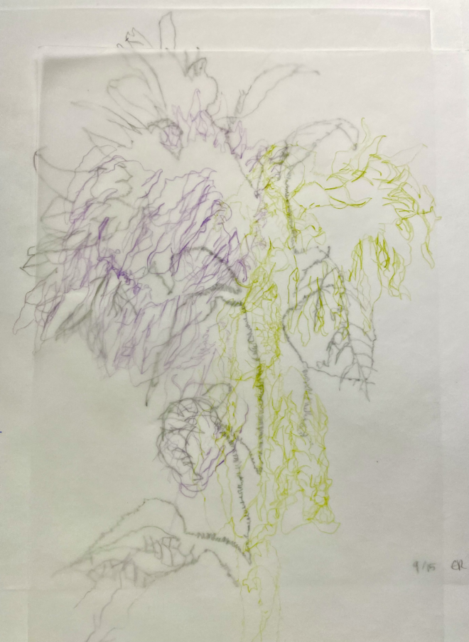 Devil’s in the Details – Emma’s Art Place