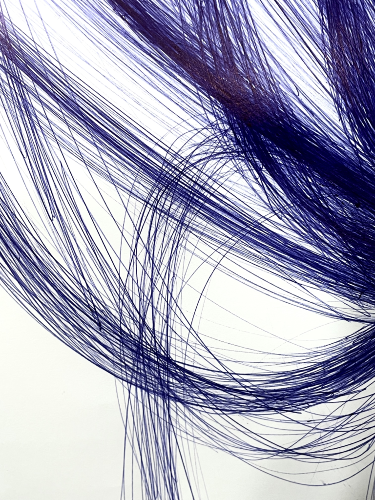 Hair in the Attic – Emma’s Art Place