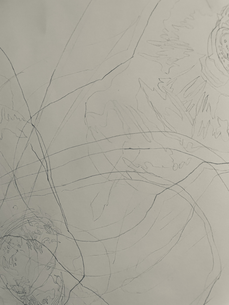 Plastic Shadows – Emma’s Art Place