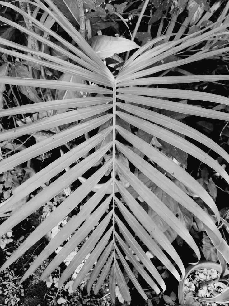 Compositional Structures – ART 181