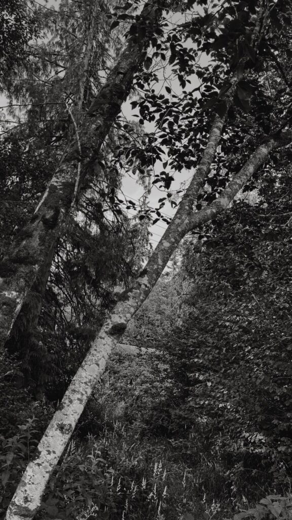 Compositional Structures – ART 181