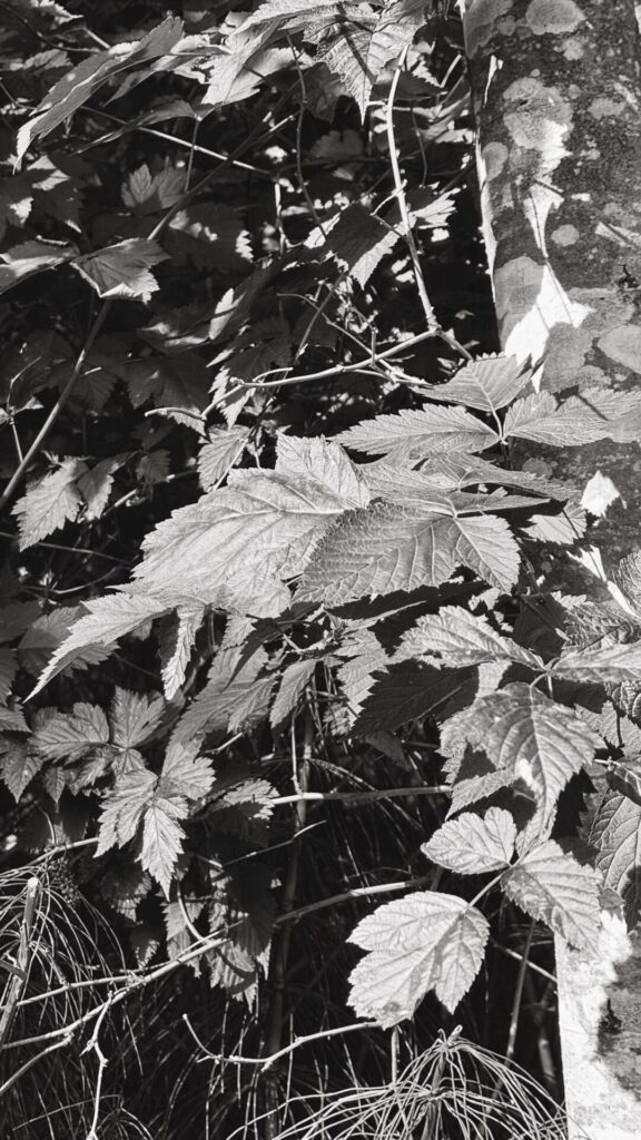 Compositional Structures – ART 181