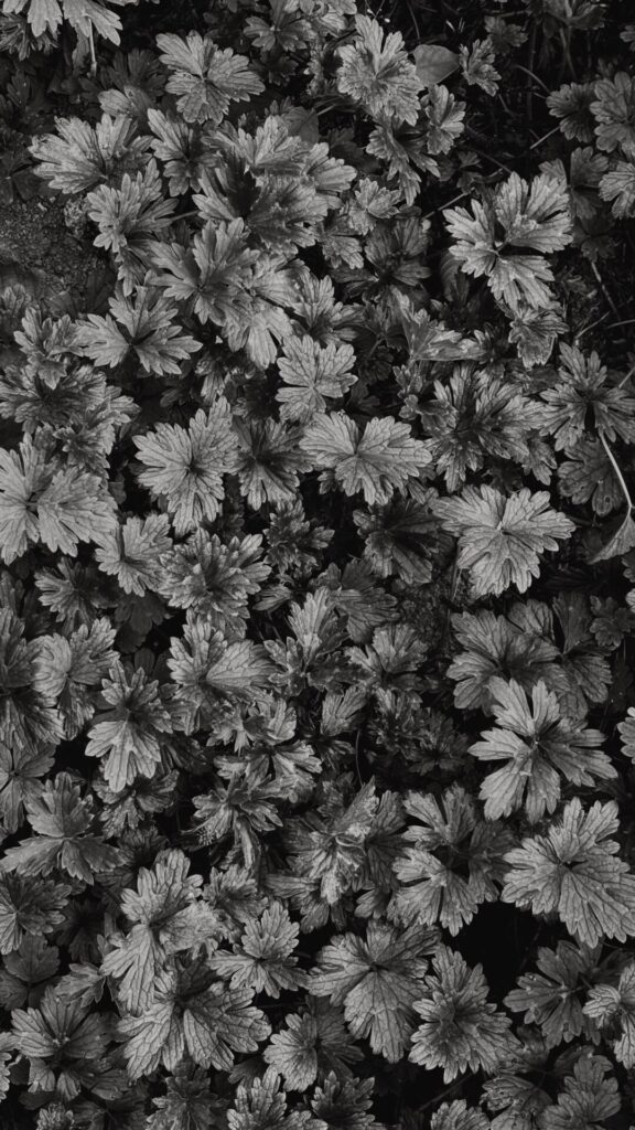 Compositional Structures – ART 181