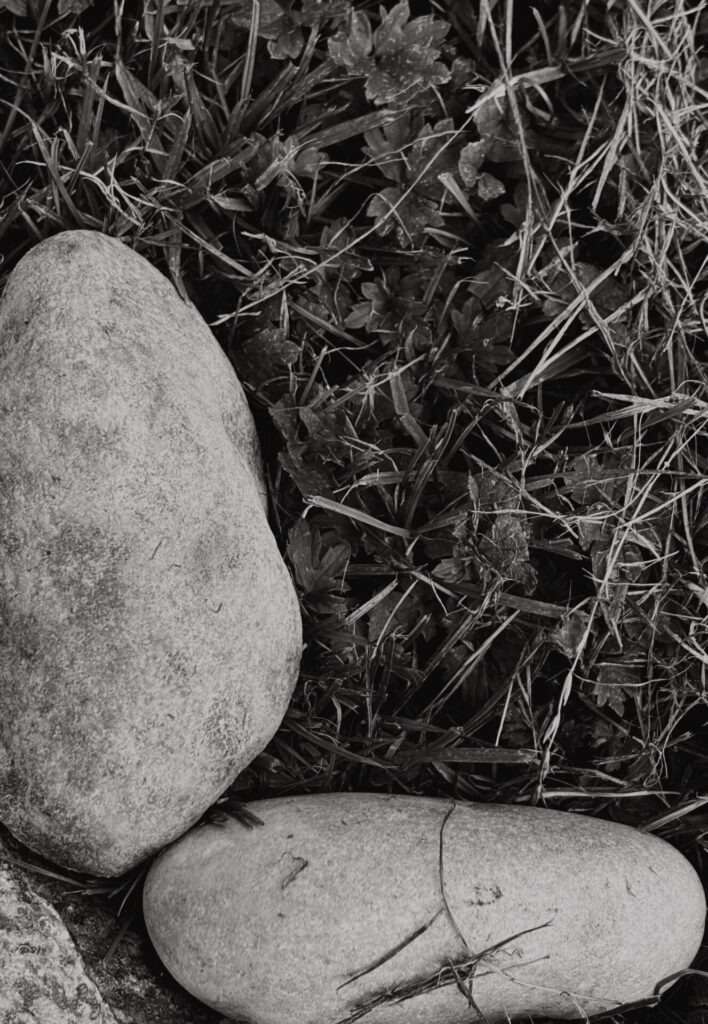 Compositional Structures – ART 181